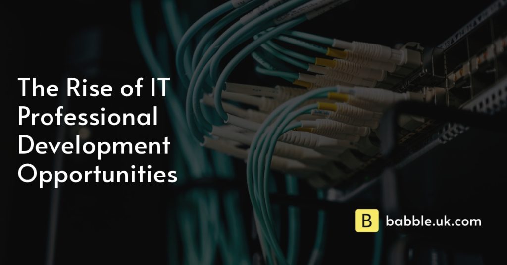 The Rise of IT Professional Development Opportunities